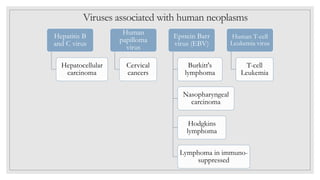 Neoplasia cancer presentation for medical | PPT