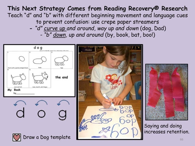 Nellie Edge Online Seminars: The Foundation | PPT | Free Download