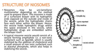 Niosomes And Application of Dendrimers | PPTX