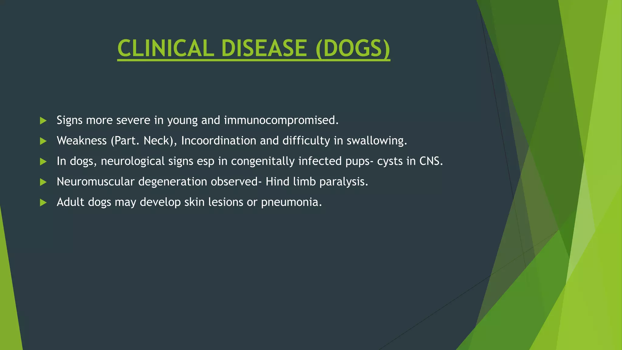 Neosporosis | PPTX