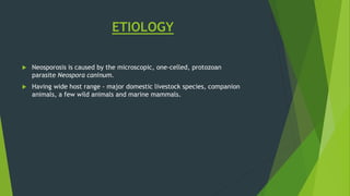 Neosporosis | PPTX