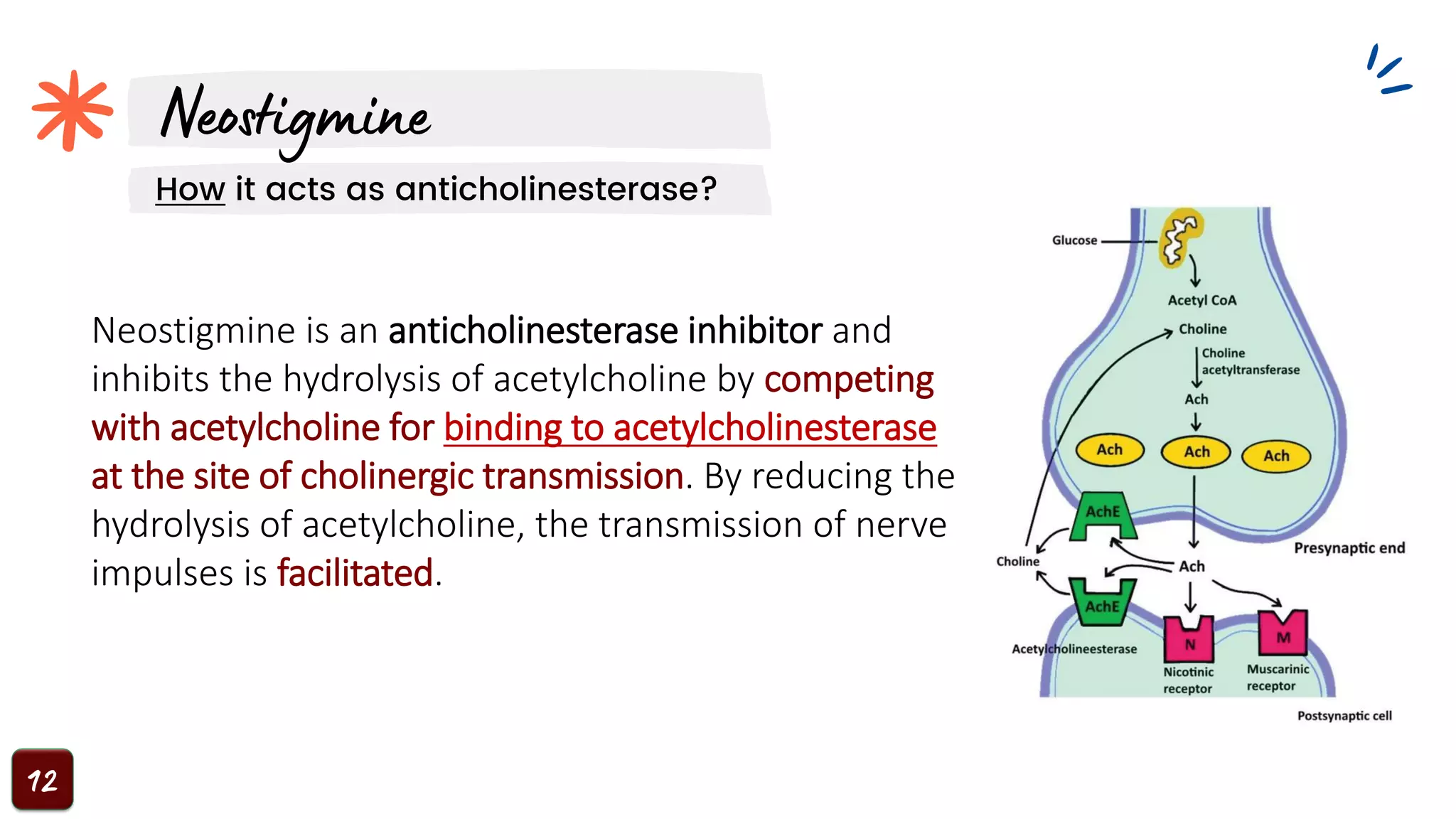 Neostigmine - Mechanism of action, indications and side effects | PDF