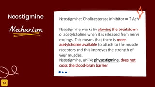 Neostigmine - Mechanism of action, indications and side effects | PDF