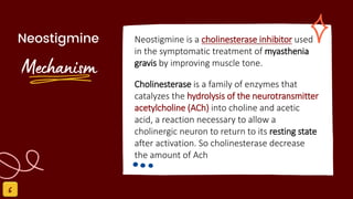 Neostigmine - Mechanism of action, indications and side effects | PDF