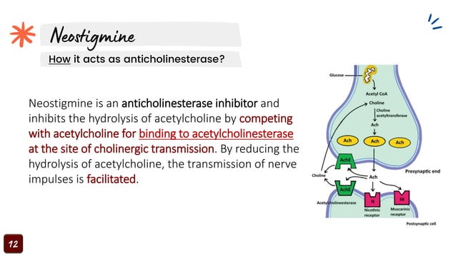 Neostigmine - Mechanism of action, indications and side effects