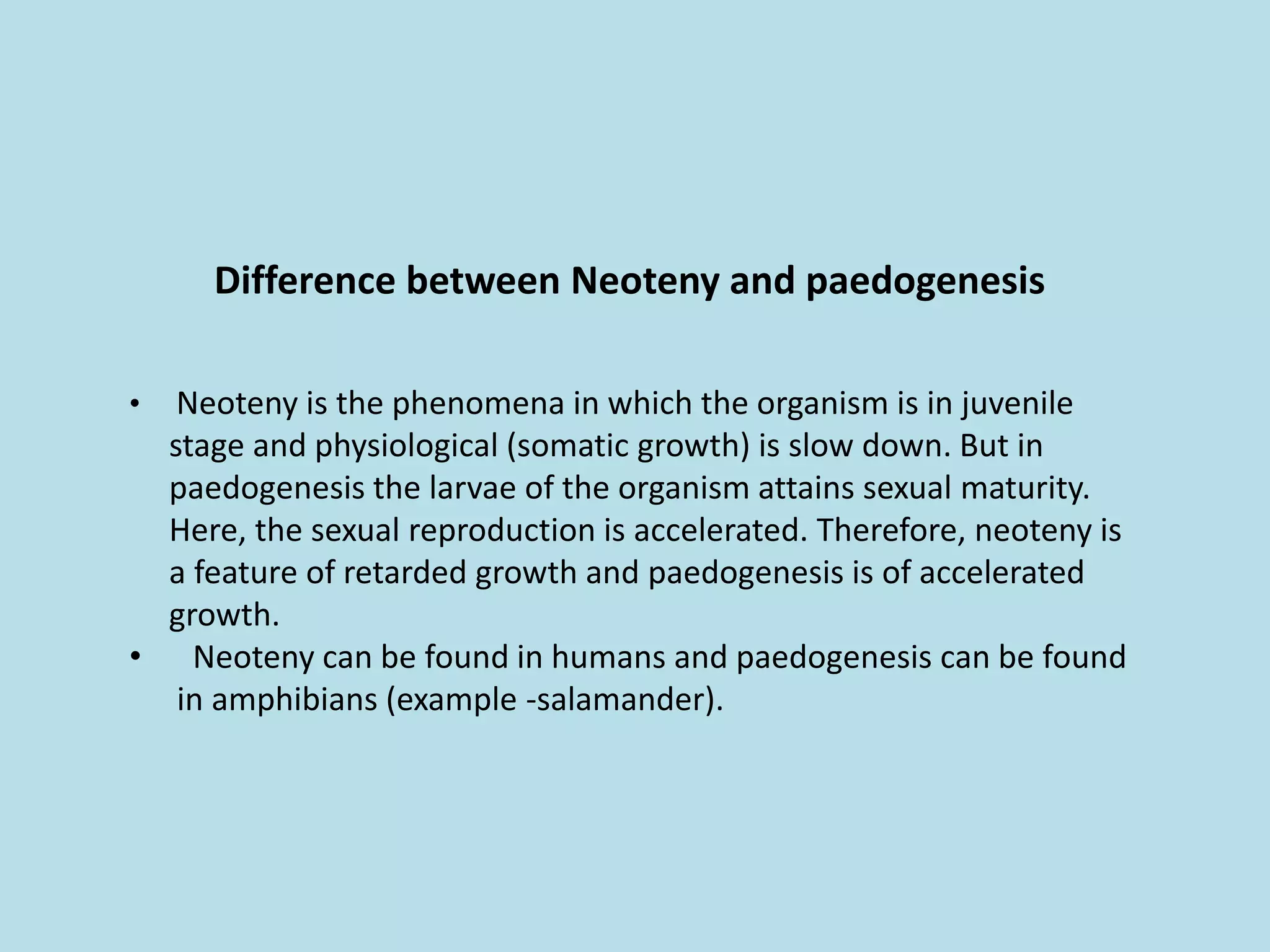 Neoteny | PPTX