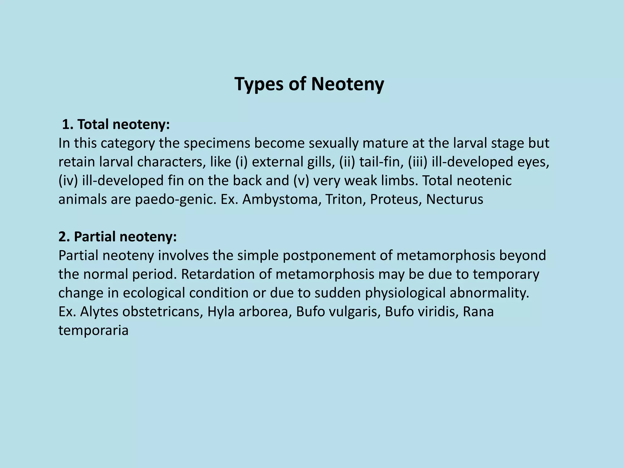 Neoteny | PPTX