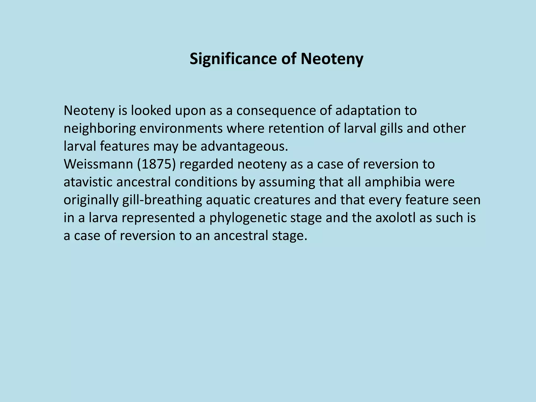 Neoteny | PPTX