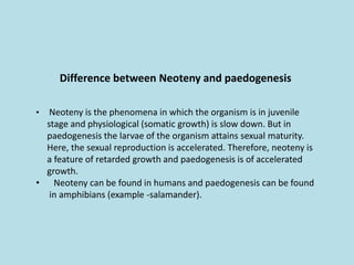 Neoteny | PPTX | Reptiles | Pets