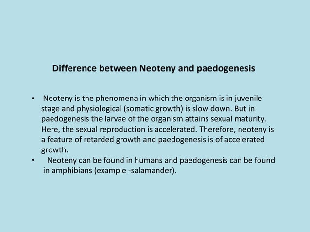 Neoteny | PPTX | Reptiles | Pets