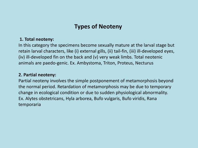Neoteny | PPTX | Reptiles | Pets