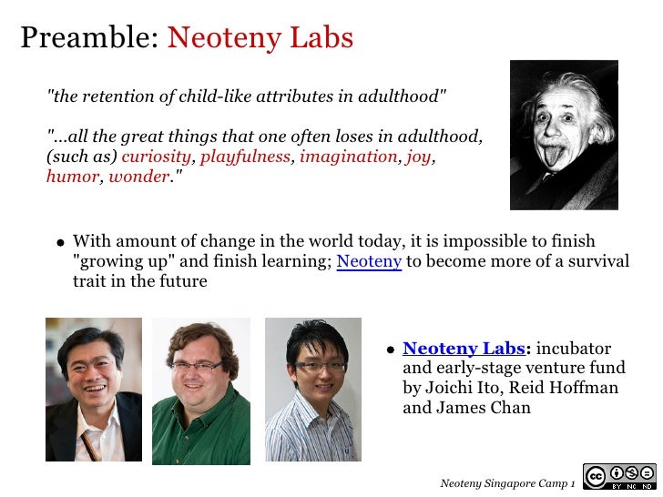 Neoteny Singapore Camp EDM