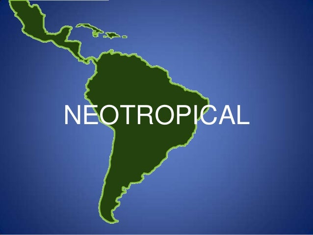 Neotropical ecozone