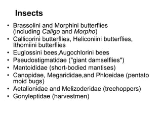 Neotropical ecozone.pptx