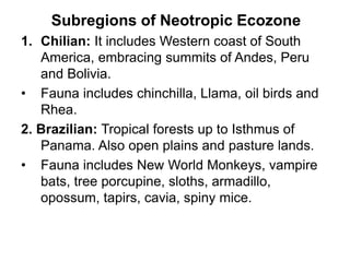 Neotropical ecozone.pptx