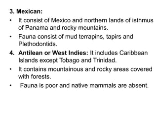 Neotropical ecozone.pptx