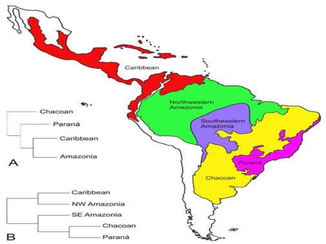 Neotropical ecozone.pptx