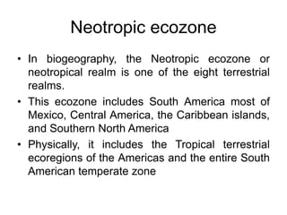 Neotropical ecozone.pptx