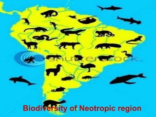 Neotropical ecozone.pptx