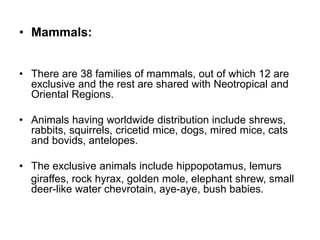 Neotropical ecozone.pptx