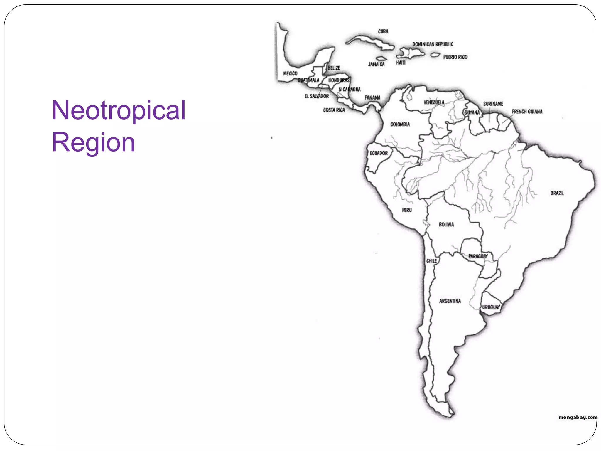 Neotropical region | PPTX
