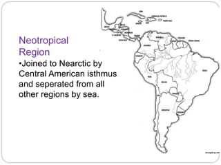 Neotropical region | PPTX