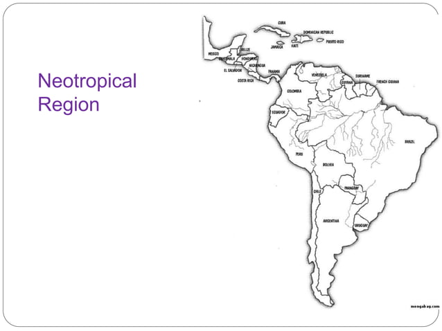 Neotropical region | PPTX