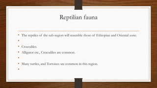 Neotropical region | PPTX