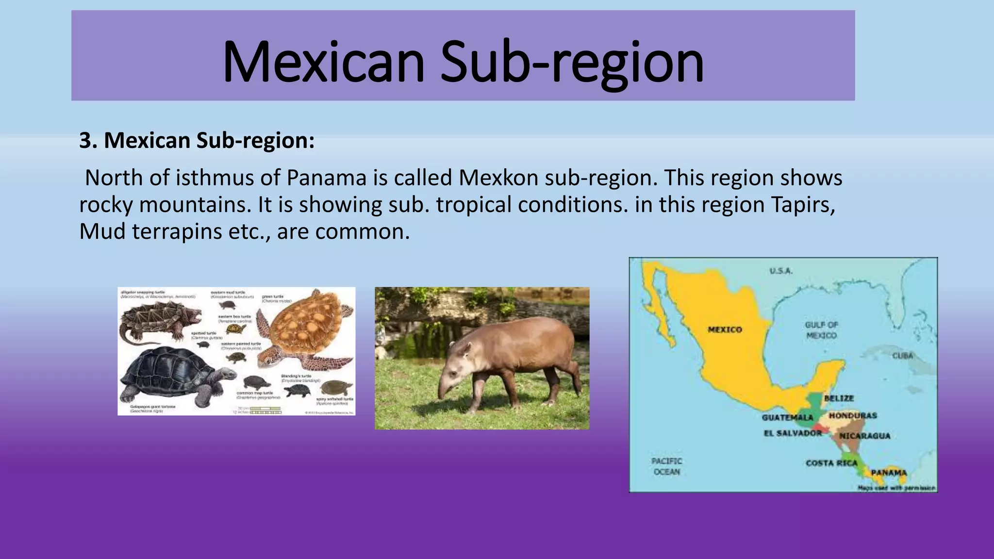 Neotropical region | PDF