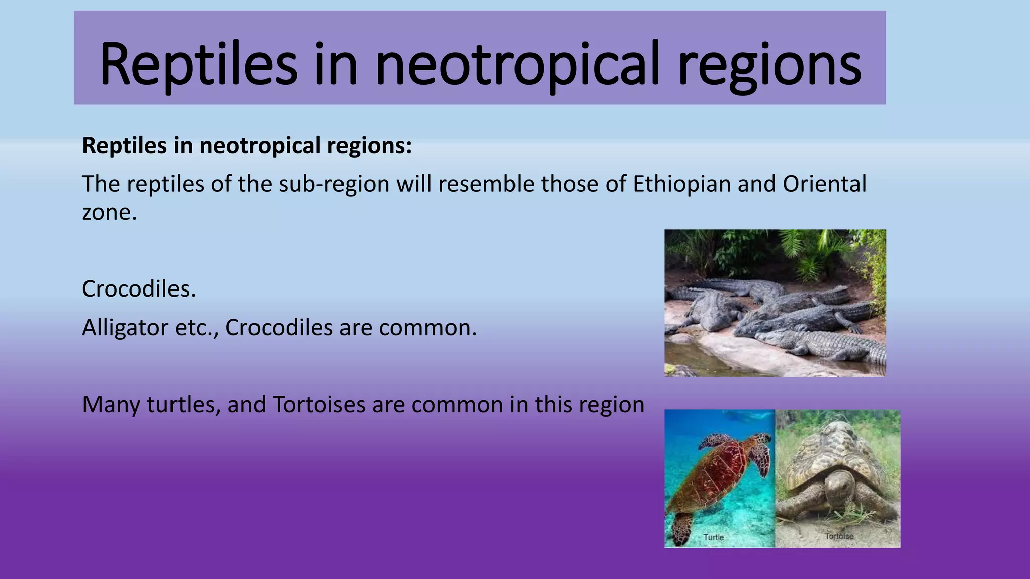 Neotropical region | PDF