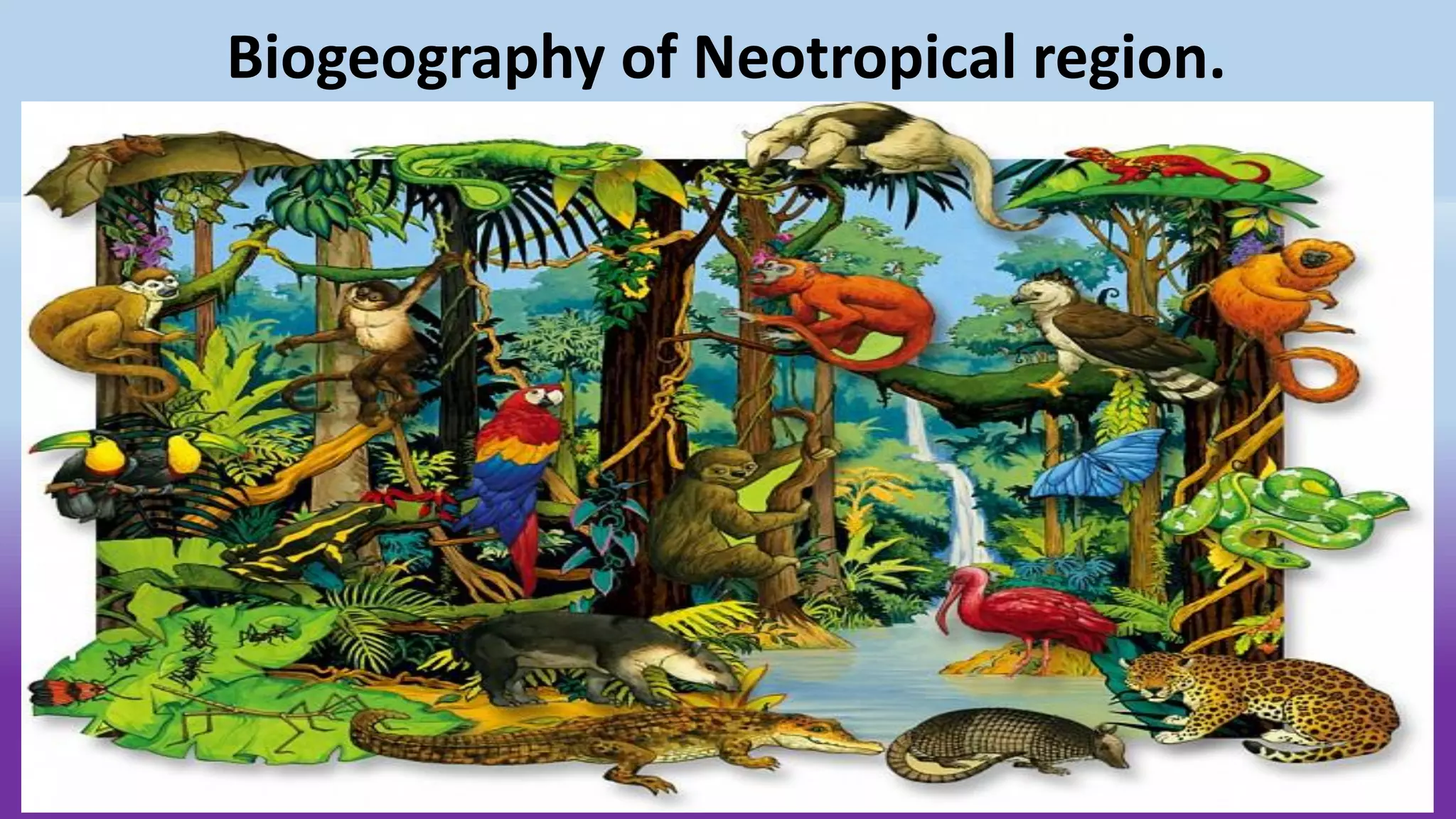 Neotropical region | PDF