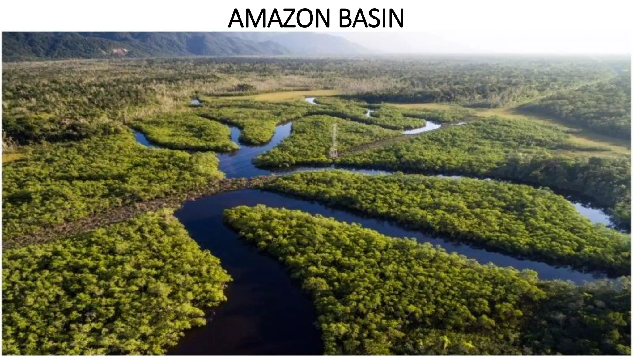 Neotropical region | PDF