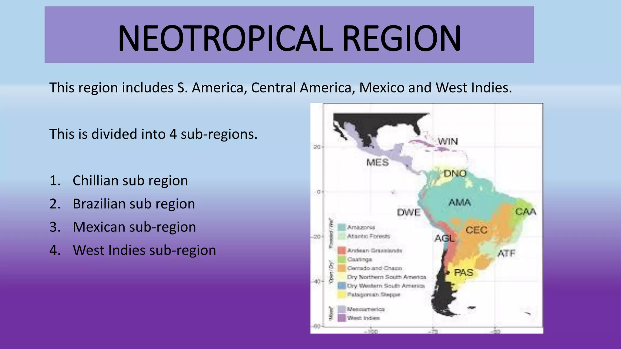 Neotropical region | PDF