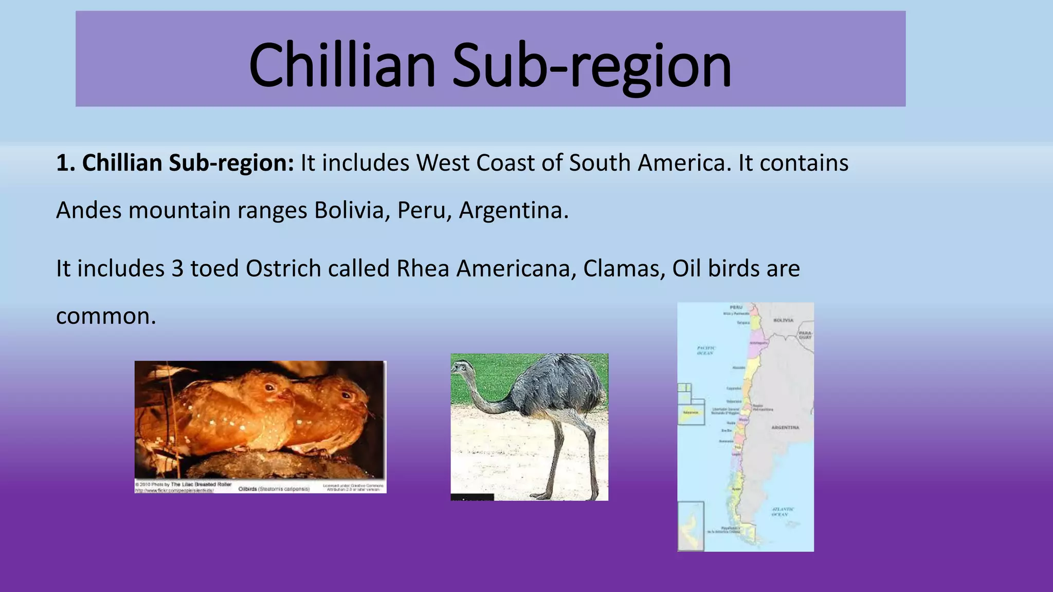 Neotropical region | PDF
