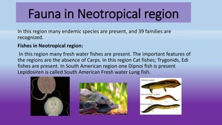 Neotropical region | PDF