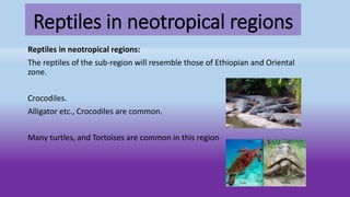 Neotropical region | PDF