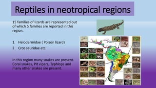 Neotropical region | PDF