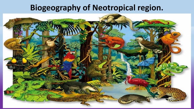 Neotropical region | PDF