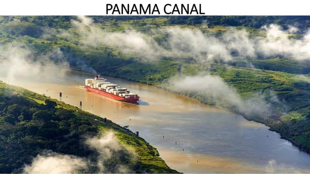 Neotropical region | PDF