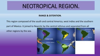 Neotropical region | PDF