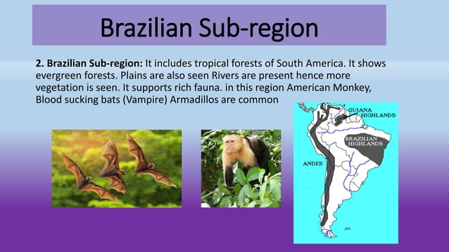 Neotropical region | PDF