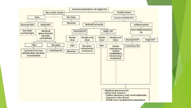Neovascular glaucoma (NVG) | PPTX