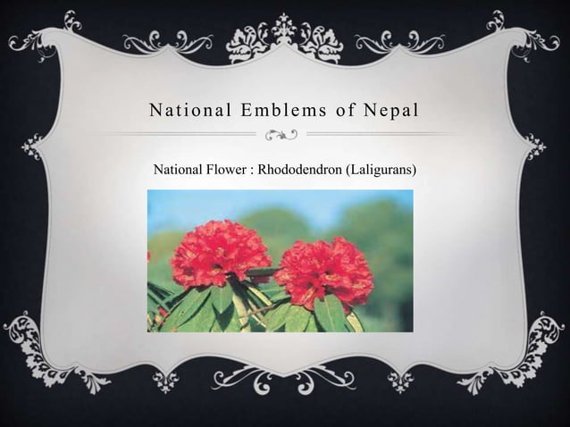 Country Presentation of Nepal | PPTX