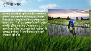 nepali-presentation-2.pptx