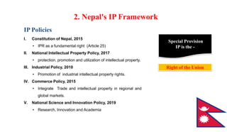 intellectual property rights | PPTX