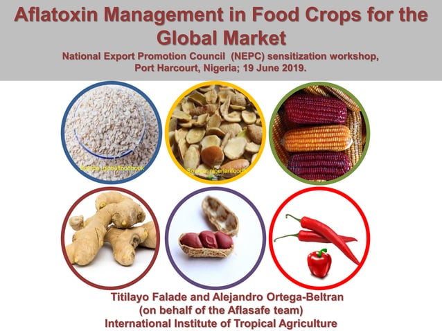 Aflatoxin Management in Food Crops for the Global Market | PDF