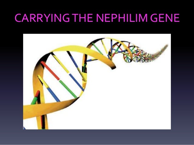 Nephilim Study- "As it was in the days of Noah..."