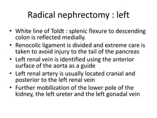 Nephrectomy : Operative Technique | PPT