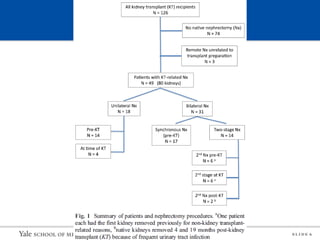 Journal Club. Native nephrectomy prior to pediatric kidney ...