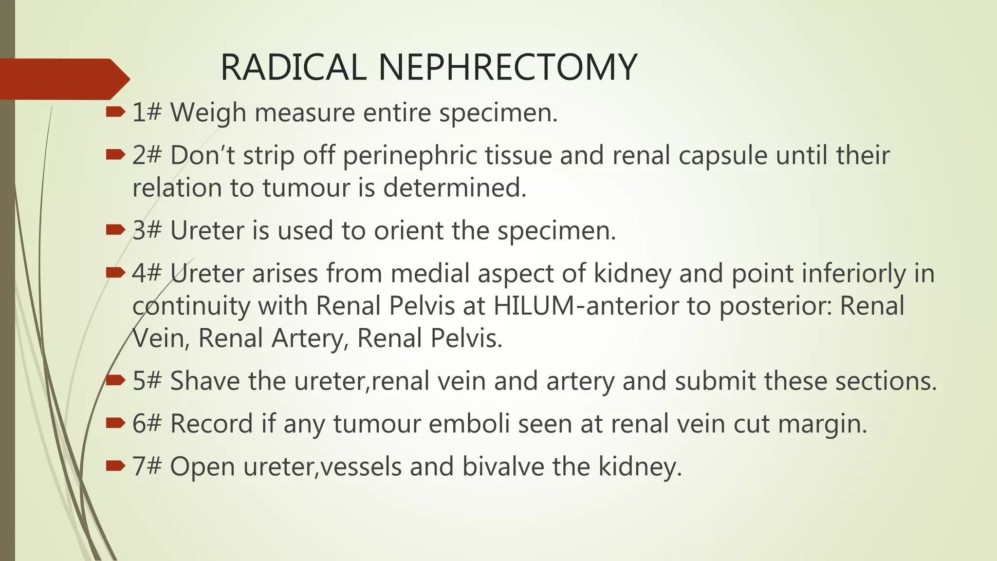 Nephrectomy grossing | PPTX